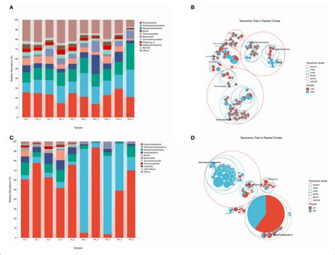 | The bacteria community composition in the LR and HR soil-root system.... | Download Scientific ...