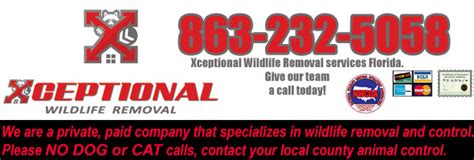 Winter Haven Wildlife Control Company Polk County Fl Pest Wildlife