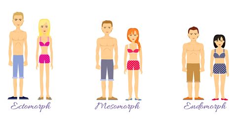 Endomorph Mesomorph And Ectomorph How To Find Your Body Type DEXA Scan Near Me VO Max Near
