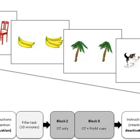 Prospective Memory And Ongoing Task Performance Across The Lifespan In Download Scientific