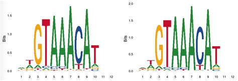 Motifplot Cannot Well Plot Pwm Matrix With Positivenegative Values · Issue 665 · Stuart Lab