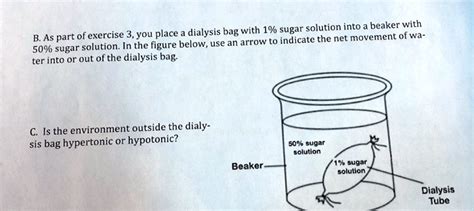 Hypertonic Solution In A Beaker