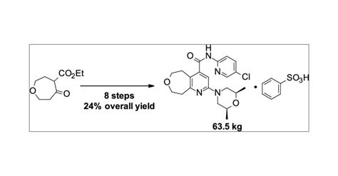 Kai Rossen On Linkedin Early Process Development And Scale Up Of A Positive Allosteric Modulator…