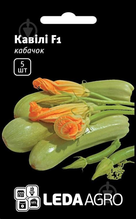 ᐉ Семена LedaAgro кабачок Кавили F1 5 шт. (4820119791943) • Купить в ...