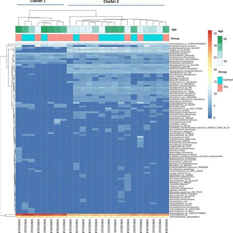 heat maps showing hierarchical clustering of abundance of microbial