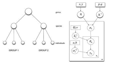left panel multi level hierarchical model with two groups each group