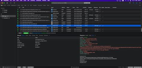 In Breakpoint Window In Raw Tab Body Not Showed · Issue 1492