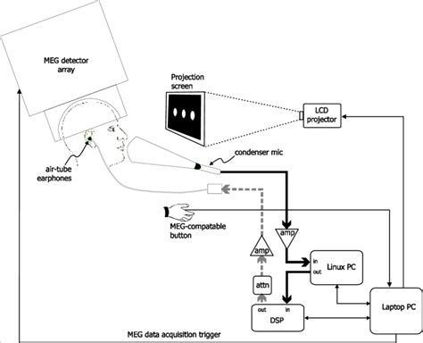 4 Diagram Of The Meg Experiment Setup Description See Text