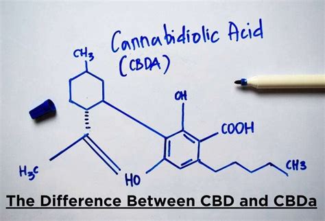 Cbd Vs Cbda Unlocking The Mysteries Of Cannabinoids Bluegrass Hemp Oil