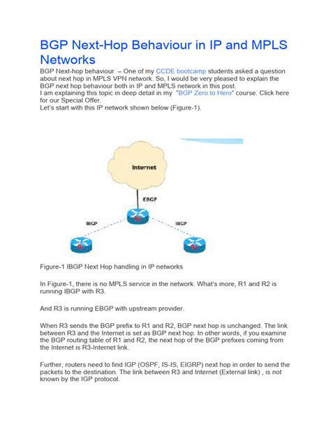 Bgp Next Hop Process In Ip And Mpls Networks Pdf Networking