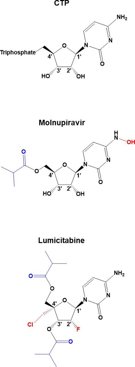 Chemical Structures Of Ctp Analogs Features Highlighted In Red