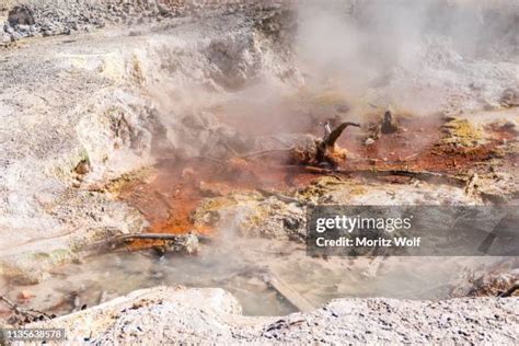 Cistern Spring Photos And Premium High Res Pictures Getty Images
