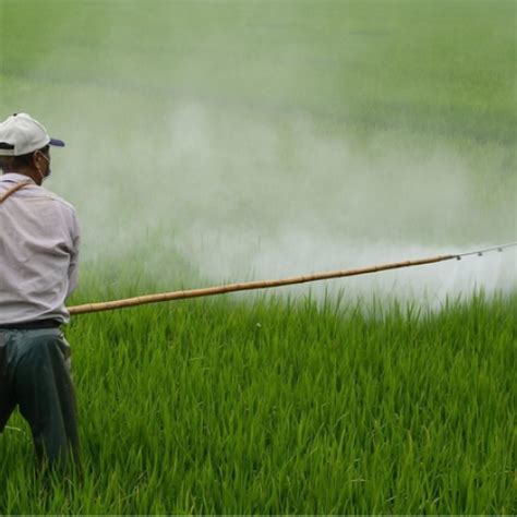 Herbicides Mzaya International