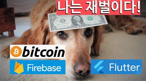 Firebase Flutter 이용 비트코인 지갑 풀스텍 App만들기 섹션 2 1 플러터와 Firebase 이메일 인증