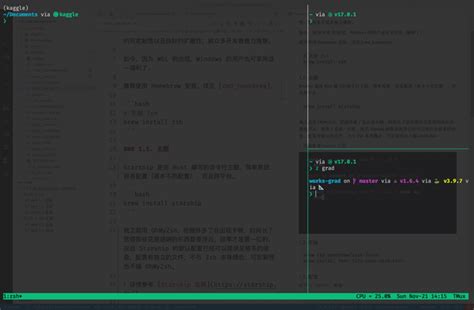 打造 Macoslinux 优雅终端（starship Zsh） 知乎