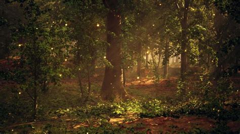 A Forest Filled With Lots Of Trees Covered In Fireflies Stock Video At Vecteezy