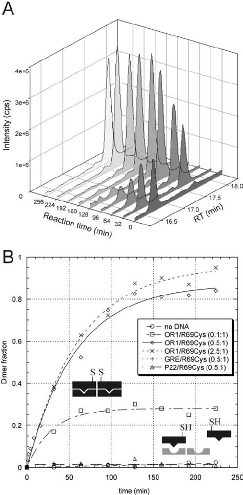 A Disulfide Cross Linking Experiment With 1 M M R69cys In The Download Scientific Diagram