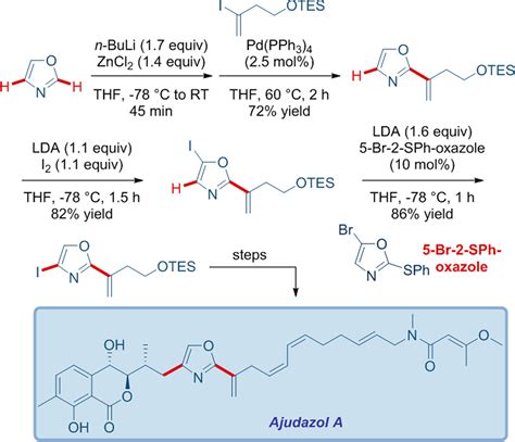 Synthesis Of Natural Products By C H Functionalization Of Heterocycles Pmc