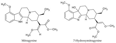 Human Mitragynine And 7 Hydroxymitragynine Pharmacokinetics After