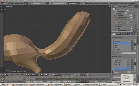 Shape Keys Resulting In Odd Scaling Animation And Rigging Blender