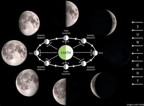 Phases Of The Moon Model