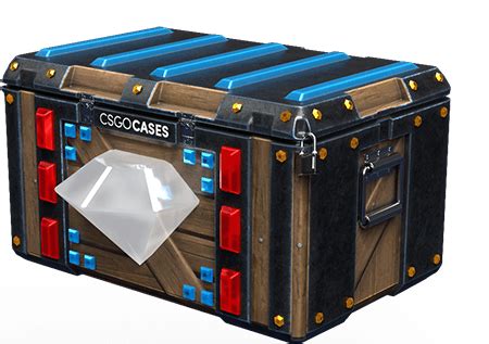 CSGOCASES COM Case