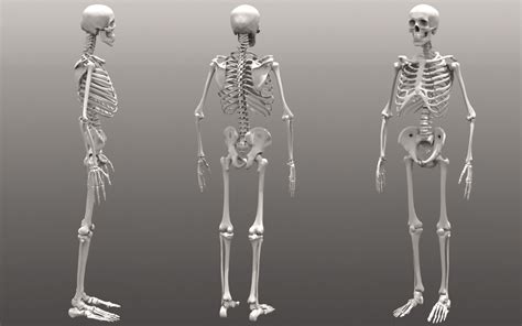 Reaper Elysium Rp Wiki Fandom