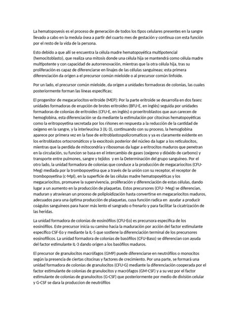 Hematopoyesis Ensayo Pdf Hematopoyesis Sangre