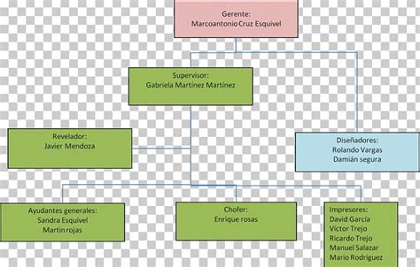 Organizational Chart Empresa Textile Industry Human Resource Management