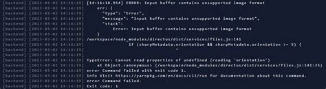 Sharp Input Buffer Contains Unsupported Image Format Causing Directus