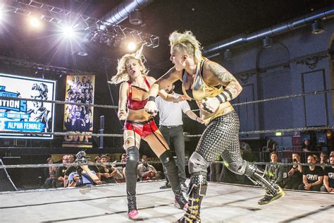 1dm47149 Tim Leidecker Flickr