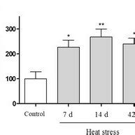 Effects of heat exposure on the nuclear factor NF κB expression in Download Scientific