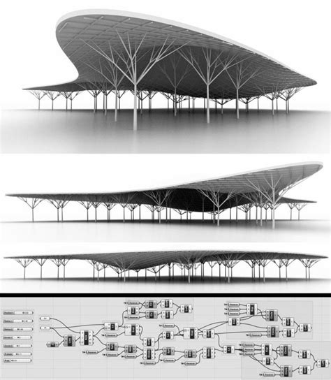 Tree Structure 01 Canopy Architecture Tree Structure Structure Architecture