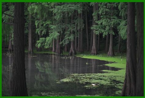 Application Examples Of The Code 39 Barcode Barcode Technology