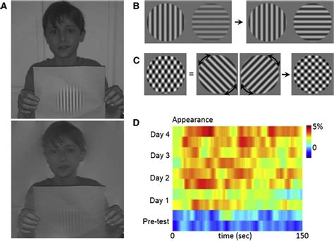 effects of filtering tasks and adaptation in the pilot experiment