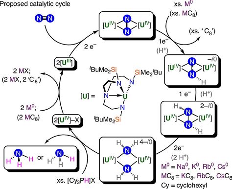 Uranium Based Catalyst Turns Air Nitrogen Into Ammonia Yacak