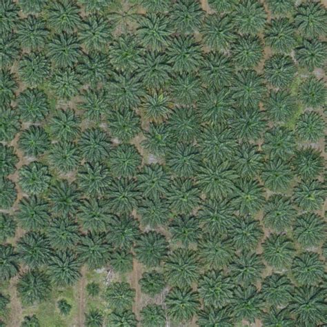 Healthy Unhealthy Object Detection Dataset By Health Detection