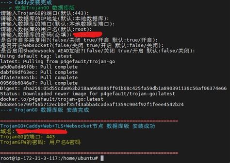无法访问Trojan panel Issue trojanpanel install script GitHub