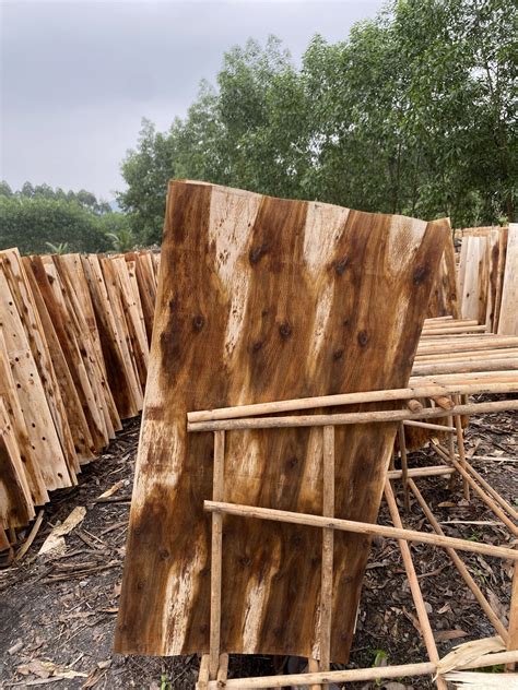 Buy Acacia Core Veneer From Gmex Jsc Vietnam