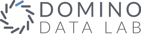 domino data lab unveils new generative ai capabilities in latest