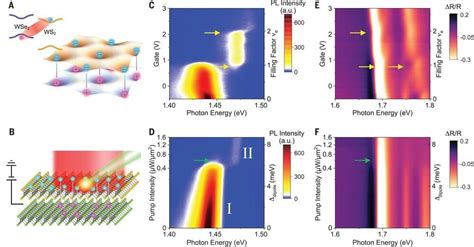 Physicists Discover An Exotic Material Made Of Bosons Lifeboat News