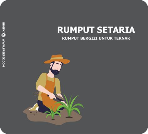 Pakan Ternak Vetmedicinae