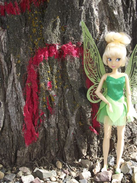 Flickriver Most Interesting Photos From Disneys Tinkerbell Pool