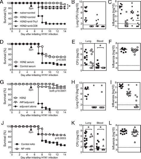 Cross Reactive T Cells And Ab Both Contribute To Protection From Download Scientific Diagram
