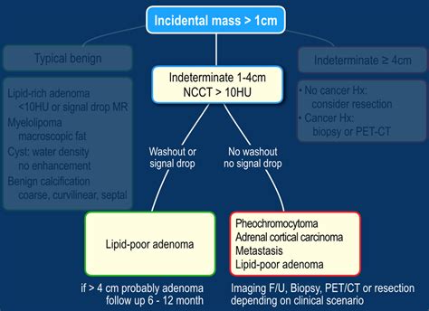Characterization Of Adrenal Lesions Adrenal Adenoma Ct Protocol