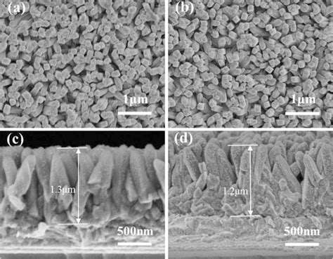Top View FE SEM Images Of Un Doped A And Cd Y Co Doped B TiO Download Scientific Diagram