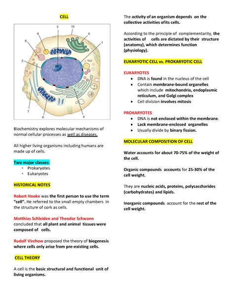 Introduction Chapter 2 About Cell Lecture Notes Medical Technology
