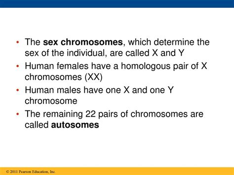 Meiosis And Sexual Life Cycles Ppt Download