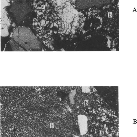 A Coarse Kaolinite And Fine Kaolinite A Coarse Kaolinite B Fine