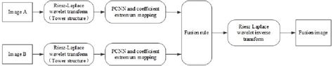 Figure 1 From Riesz Laplace Wavelet Transform And Pcnn Based Image Fusion Semantic Scholar